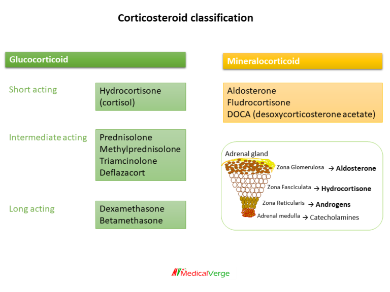 Corticosteroids: action, uses, side effects & steroid withdrawal ...