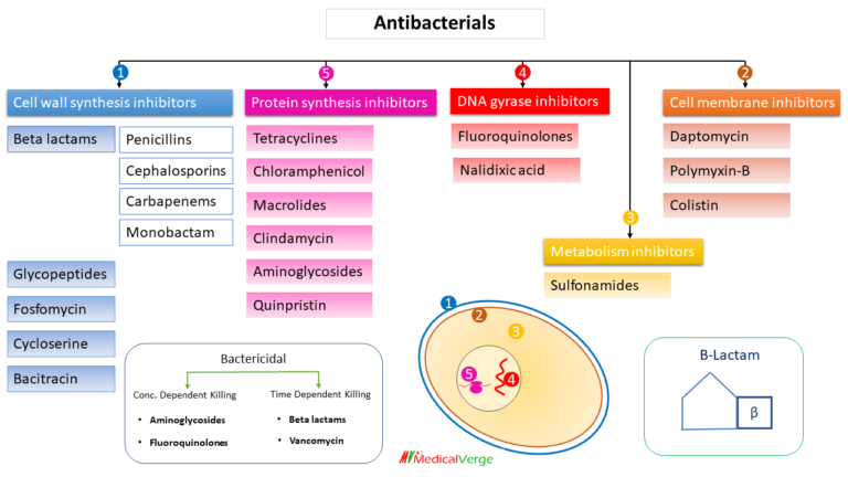 Antibacterials: classification and mechanism - MedicalVerge