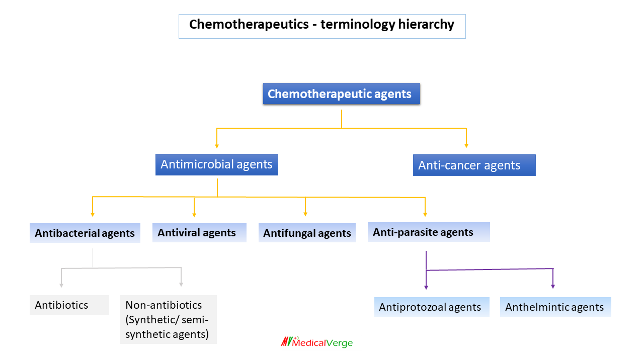 Antibacterials: classification and mechanism - MedicalVerge